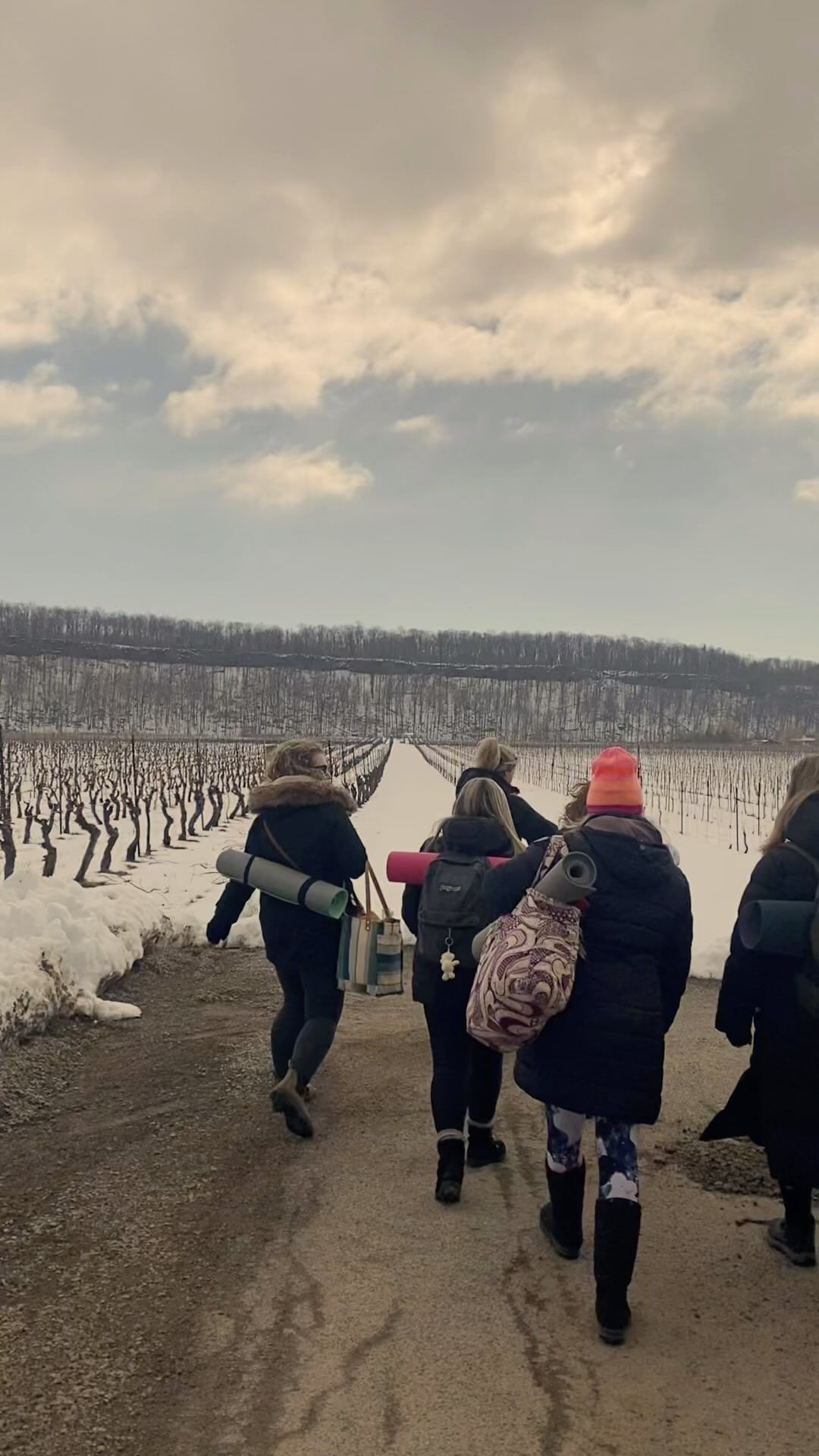 Cave Spring Vineyard